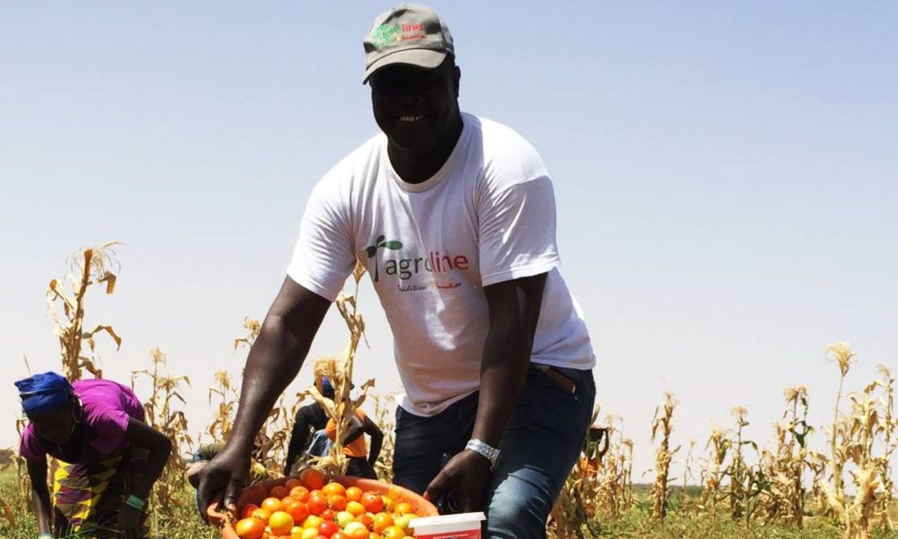 Savoir-Faire – Agroline