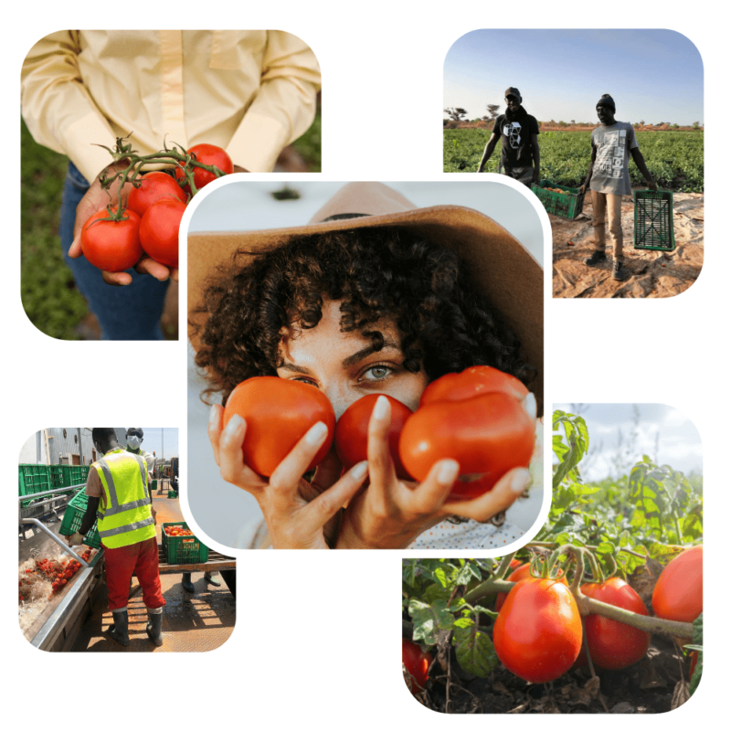 Savoir-Faire – Agroline