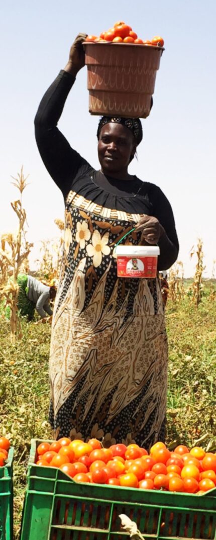 Agroline – Tradition & Innovation